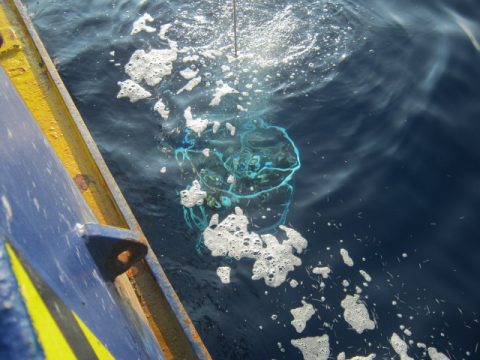 SeaState | Deep Blue Analysis